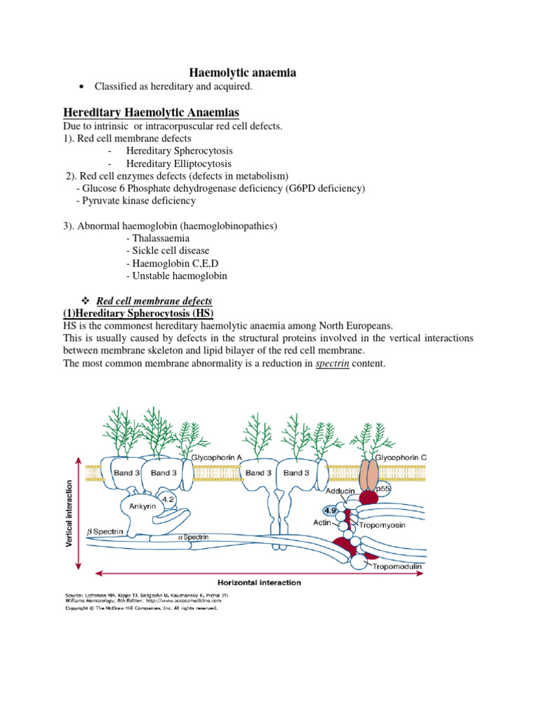 Hereditary Haemolytic Anaemia - Handout-By DR - Chandima Kulathilake ...