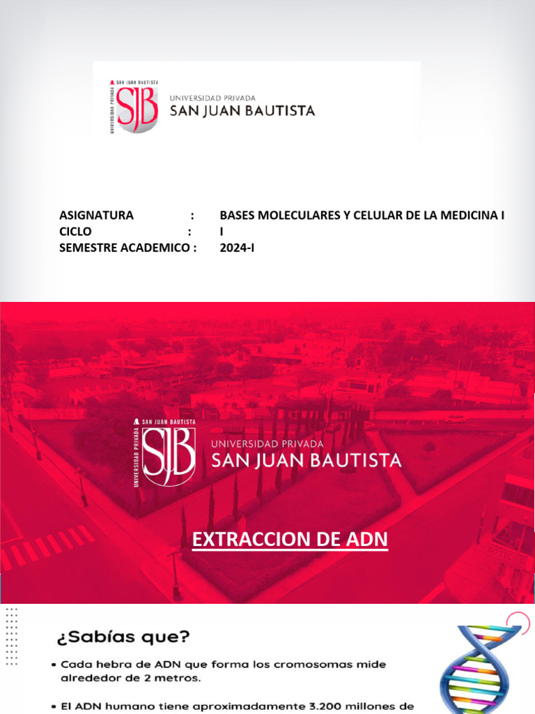 Extracción de ADN | PDF | Adn | Biología Celular)