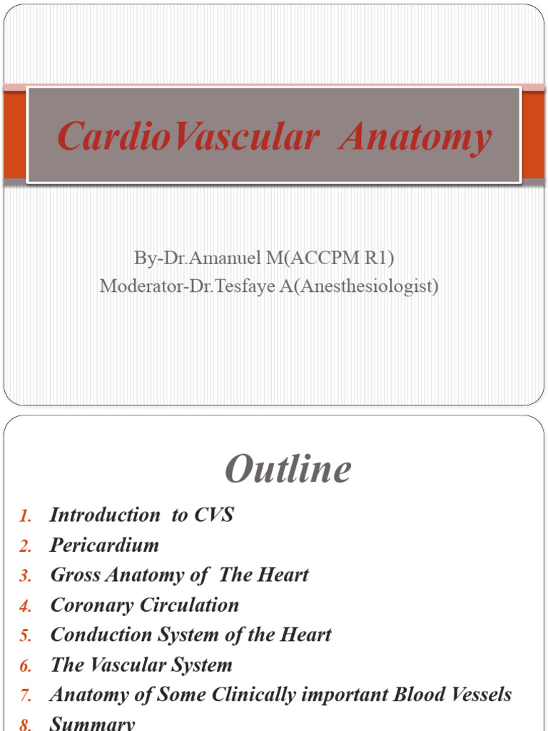 Seminar 1-CardioVascular Anatomy | PDF | Heart Valve | Coronary Circulation