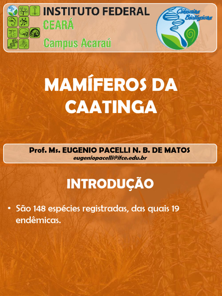 Aula 06 - Mamíferos Da Caatinga | PDF | Ciências e Matemática