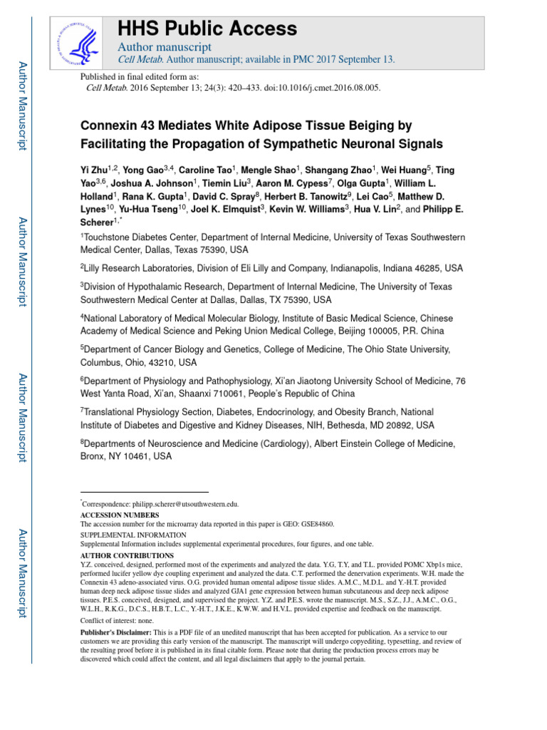 White adipose tissue conexin (1) | PDF | Adipose Tissue | Adipocyte