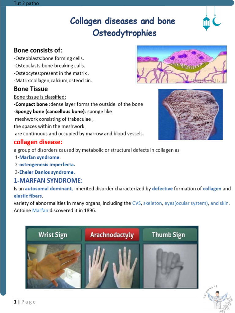 Tut 2 Patho 2 | PDF | Bone | Diseases And Disorders