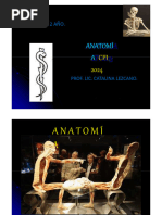 Tema 35 - Articulación Del Codo. Articulación Radio Cubital Distal. | PDF | Codo | Articulación