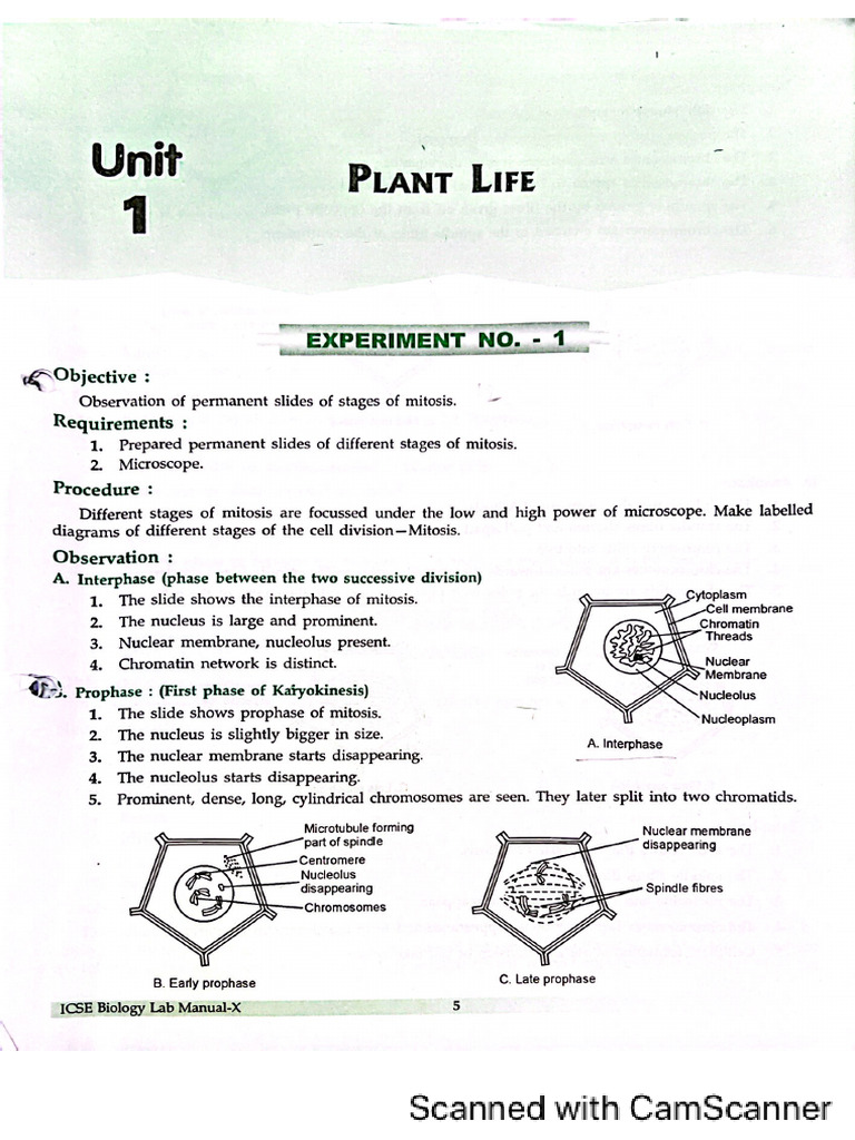 Bio Lab Manual | PDF