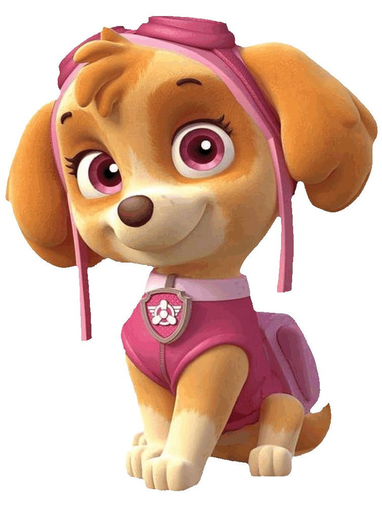 Skay y Everest | PDF