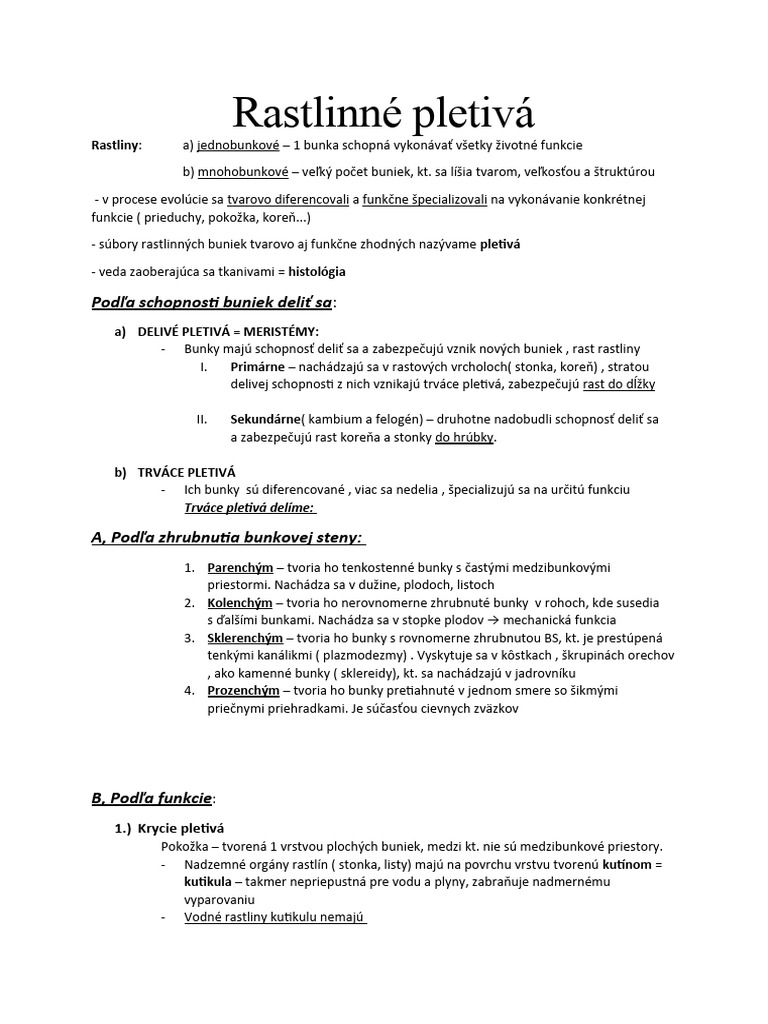 Rastlinné Pletivá | PDF