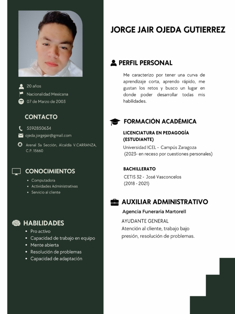 Curriculum Vitae Jorge J Ojeda | PDF