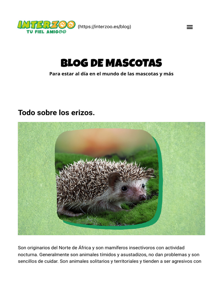 Todo sobre los erizos. - Interzoo | PDF