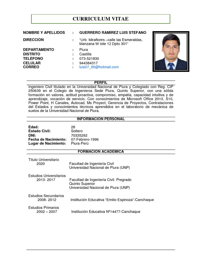 Curriculum Luis Guerrero Ramirez 4 - Opt | PDF | Ingeniería