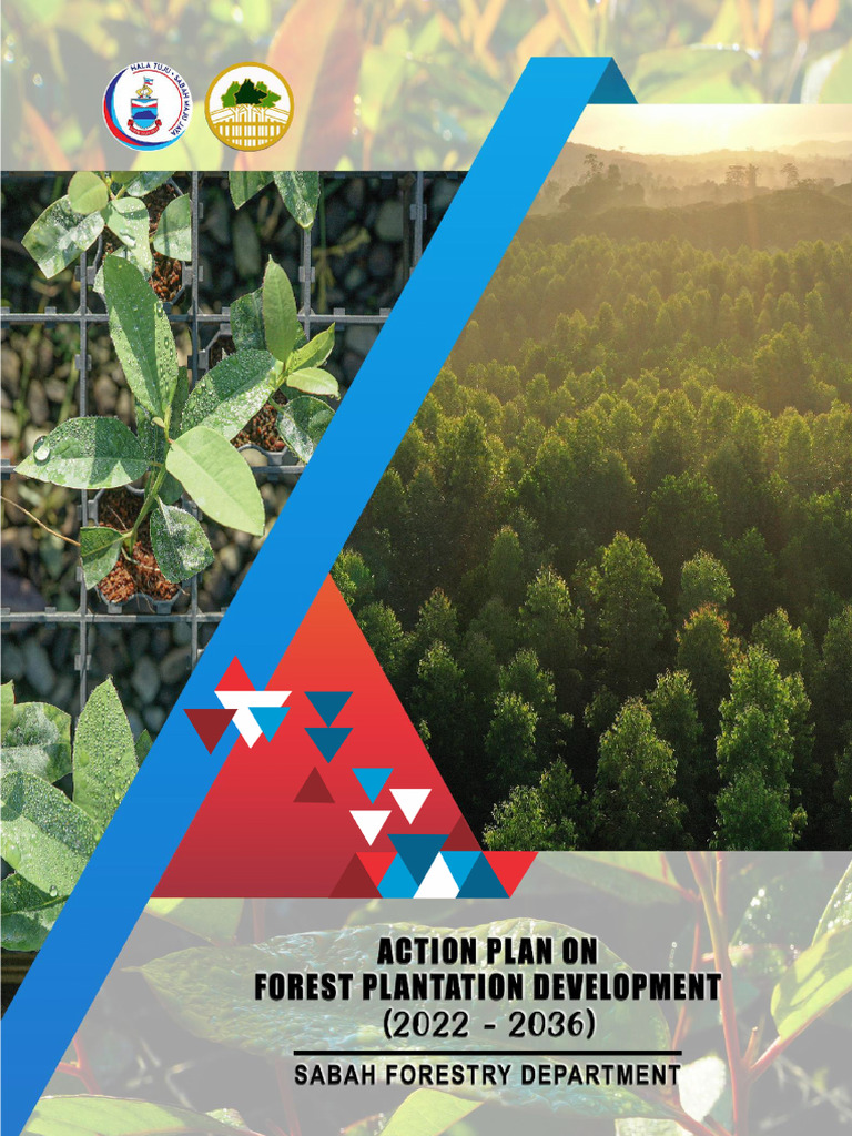 Action Plan On Forest Plantation Development (2022 - 2036) | PDF | Forest Stewardship Council ...