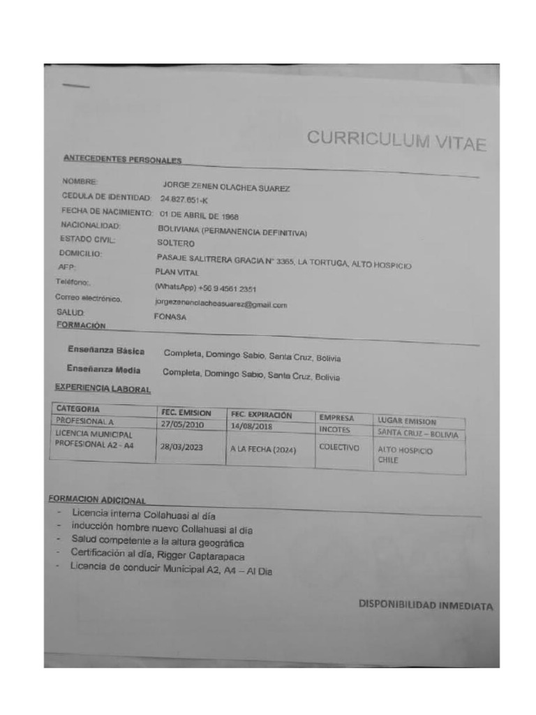Documento Currículum | PDF