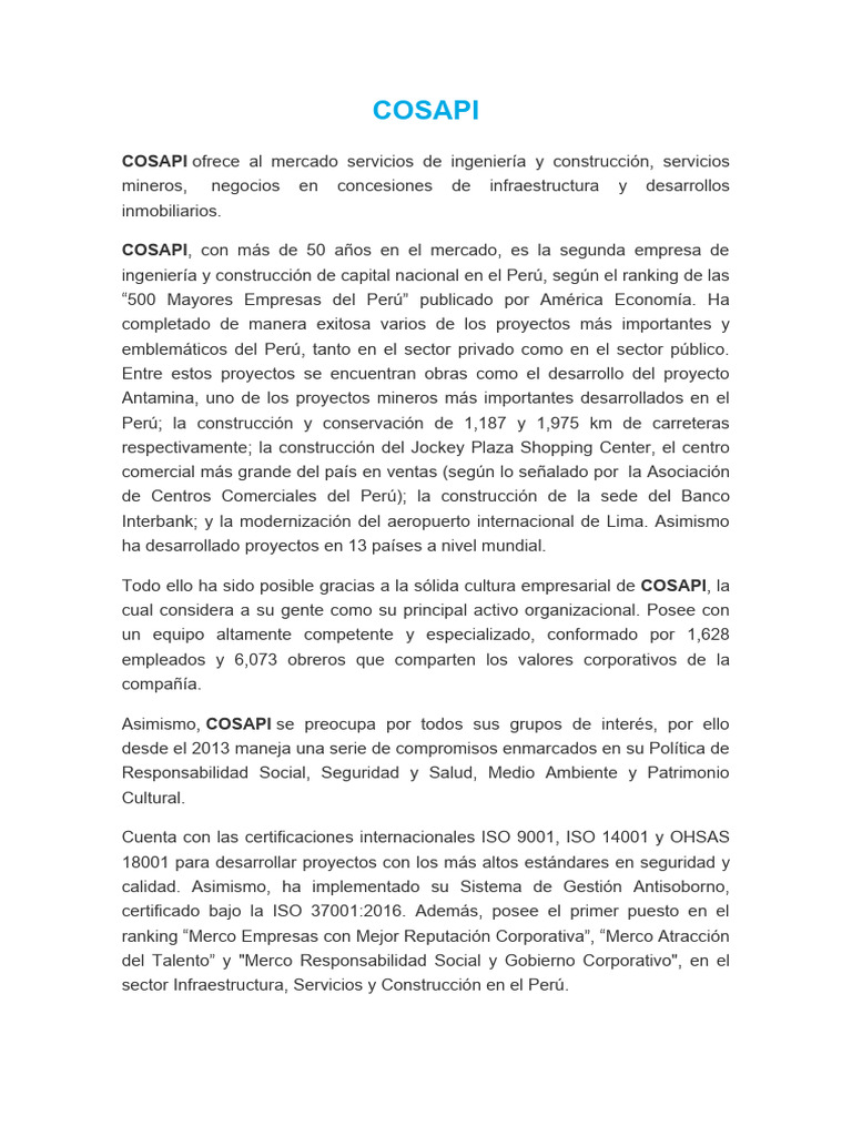 COSAPI | PDF | Perú | Economias