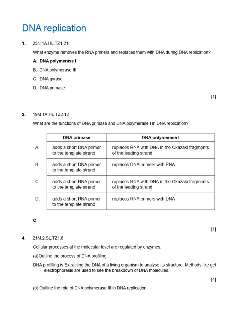 DNA Replication Worksheet | PDF | Dna Replication | Dna