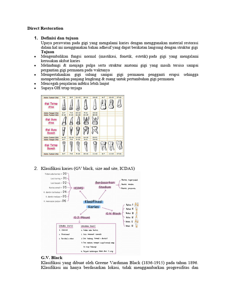 Direct Restoration | PDF
