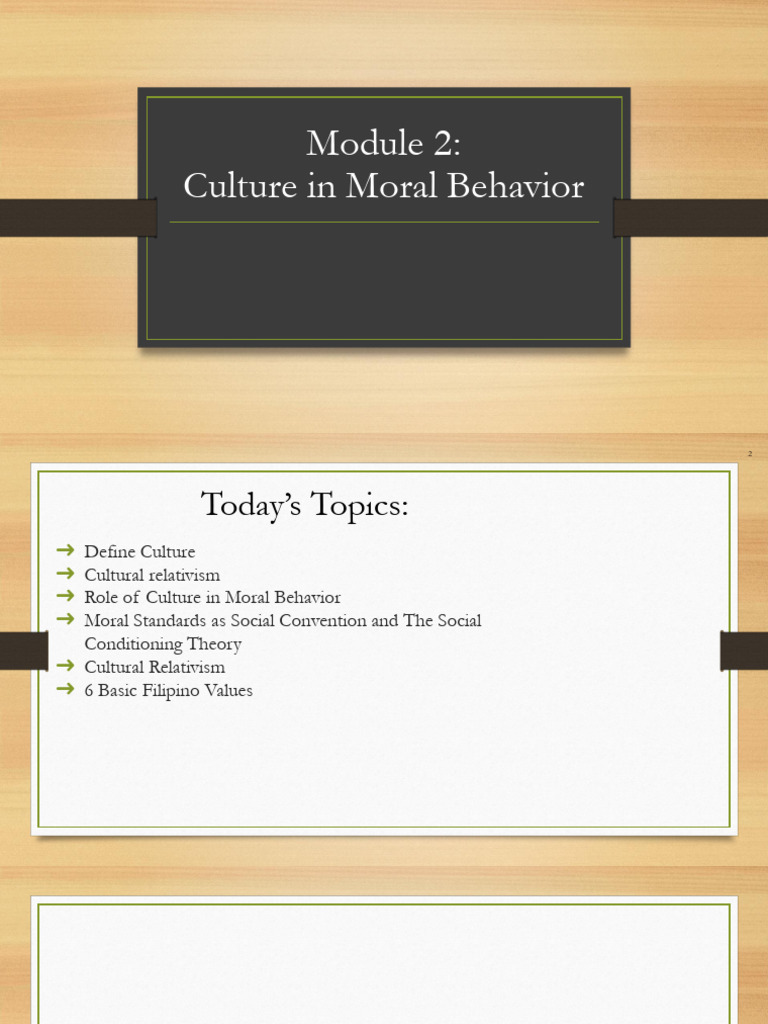 Lesson 2 | PDF | Morality | Relativism