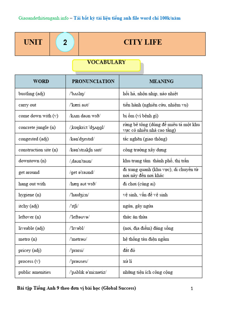 HS Unit 2 L P 9 GLOBAL SUCCESS | PDF