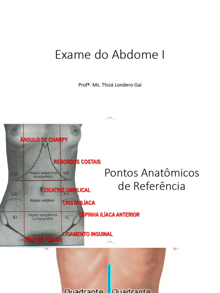 Exame Do Abdome Parte 1 Thizá | PDF | Anatomia | Abdômen