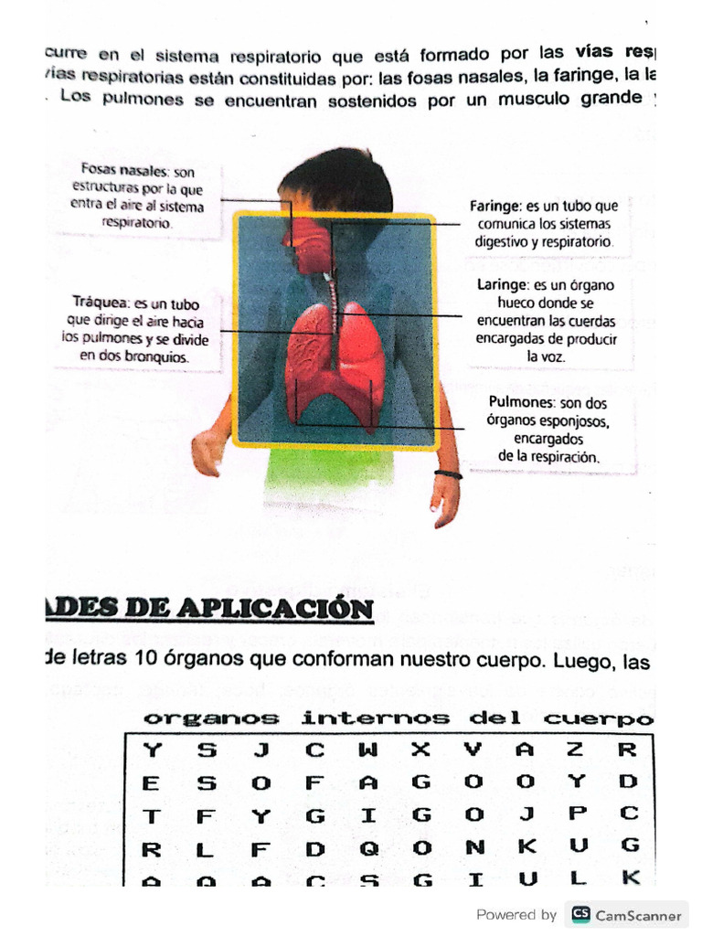 Rree | PDF