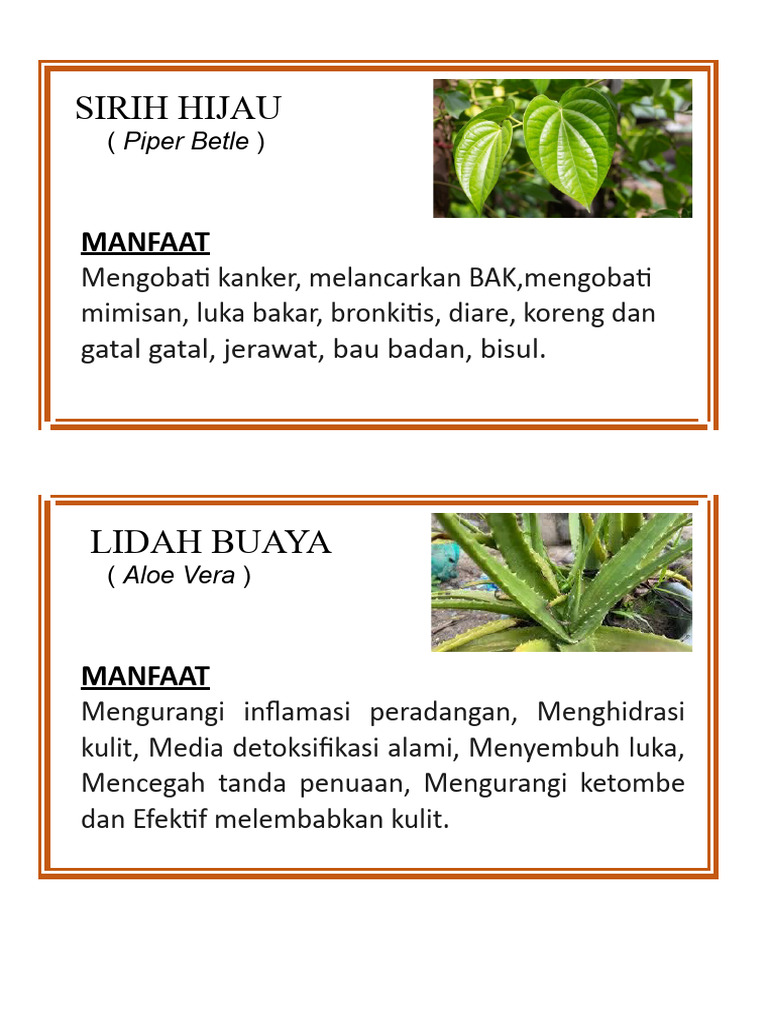 Label Toga PKM Durai | PDF