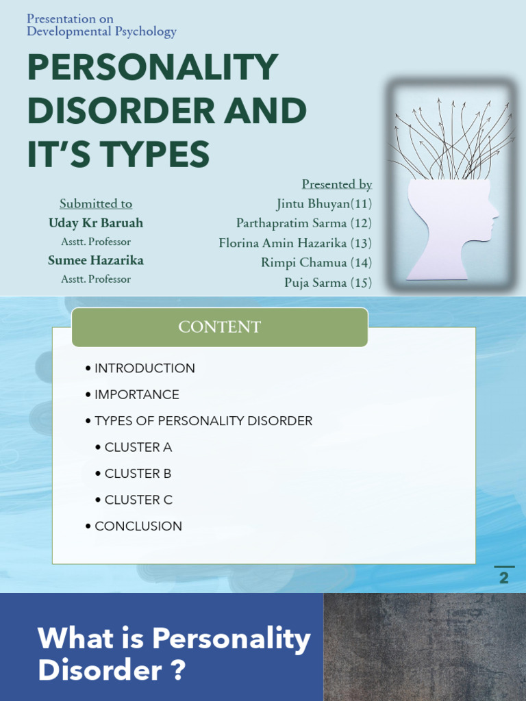 Types of Personality Disorders Explained | PDF | Personality Disorder ...