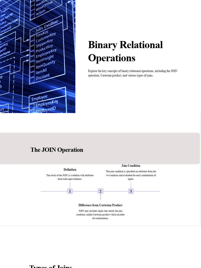 Understanding Binary Relational Joins | PDF | Computer Programming | Databases