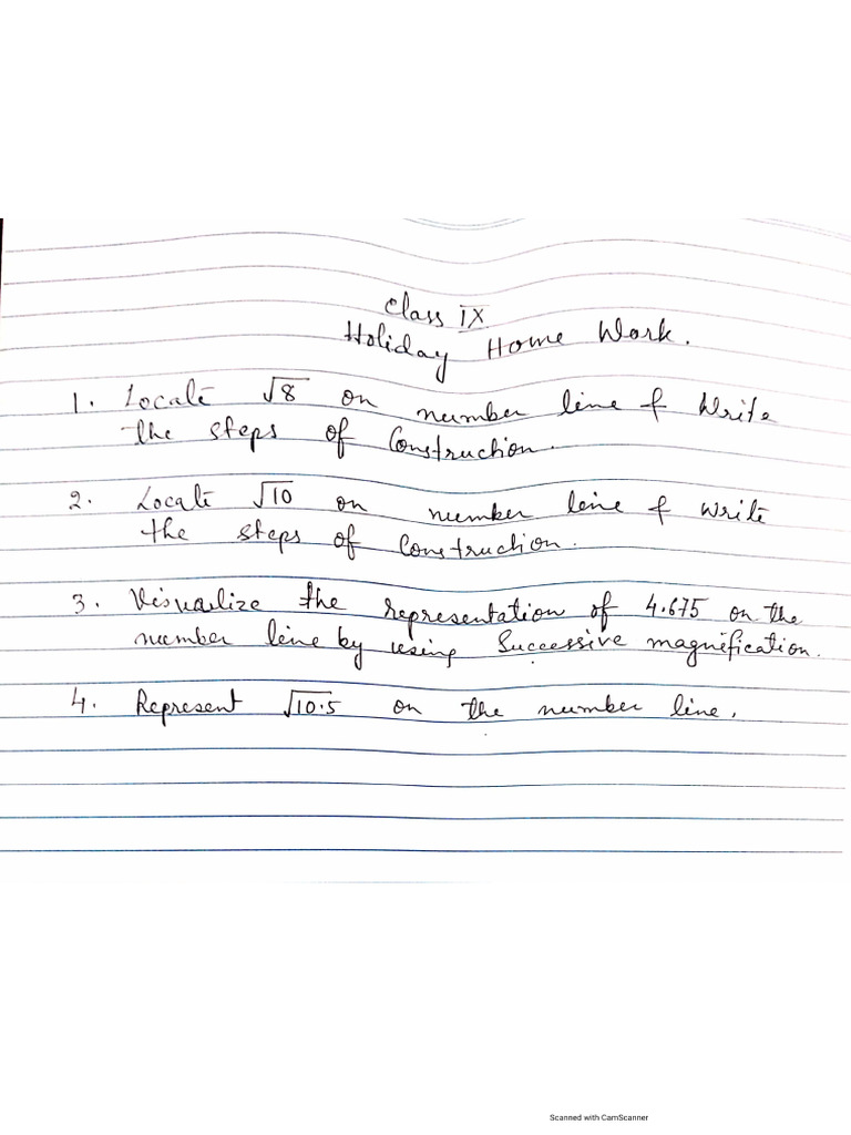 Class IX Maths Holiday Homework | PDF