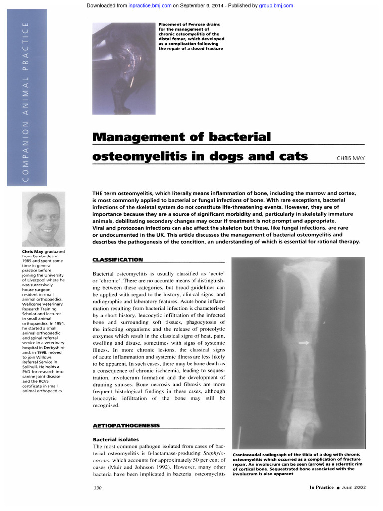 Managment of Osteomyelitis in Dogs and Cats | PDF | Infection | Biofilm