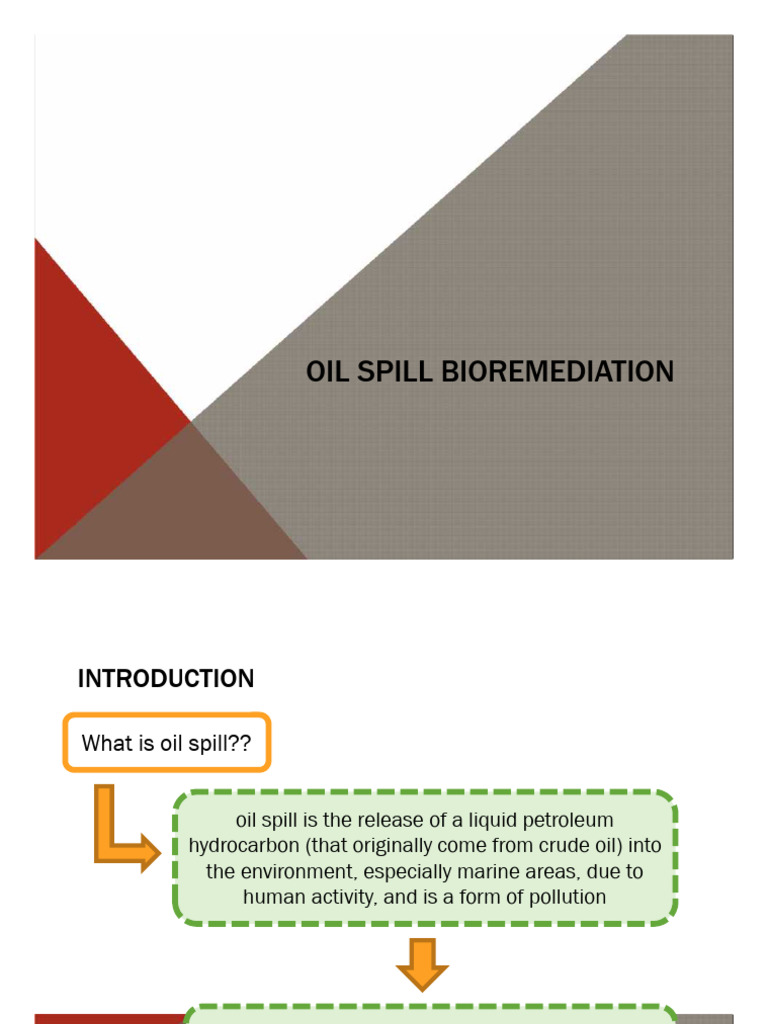 Oil Spill Bioremediation | PDF | Oil Spill | Petroleum