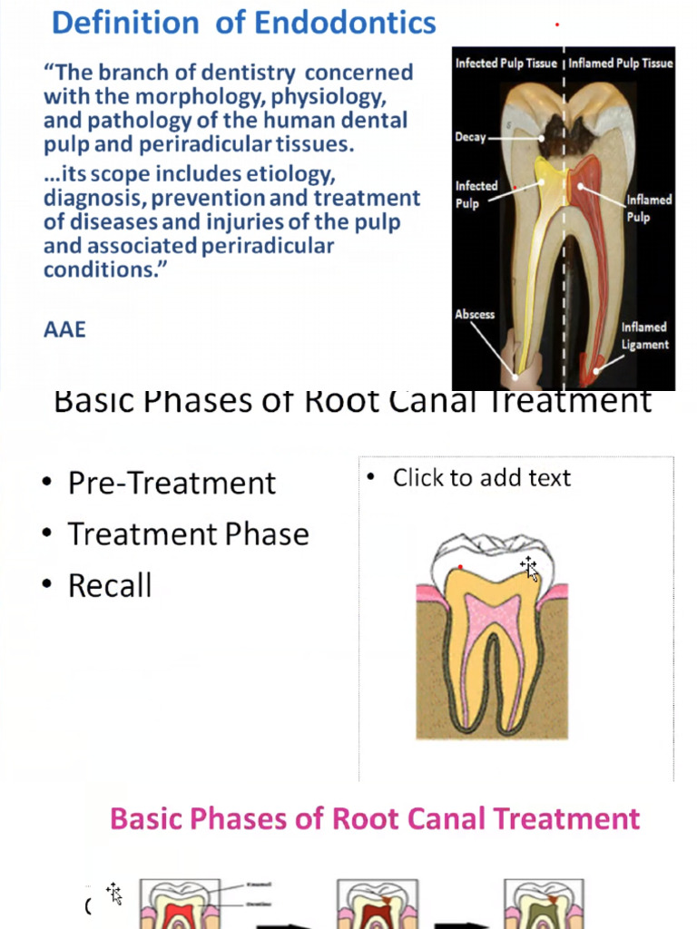 Endo Notes | PDF | Dentistry | Dentistry Branches