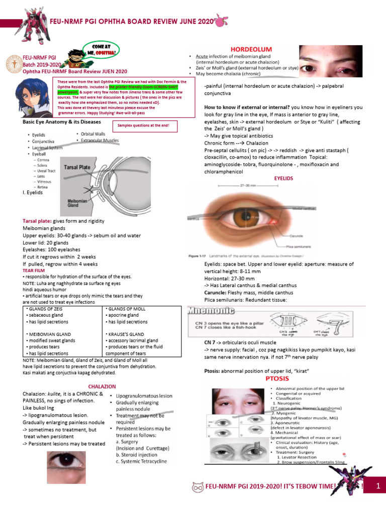 Ophtha Board Review Notes 2020 | PDF | Cornea | Glaucoma