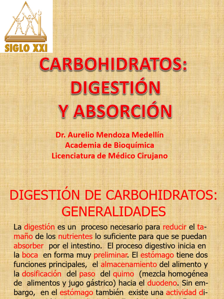 Digestión y Absorción de Carbohidratos | PDF | Digestión | Hidrólisis