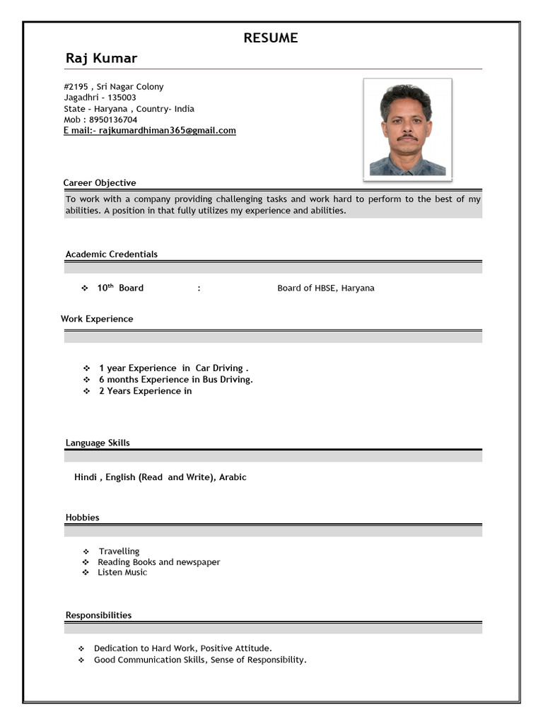 Raj Kumar Resume | PDF