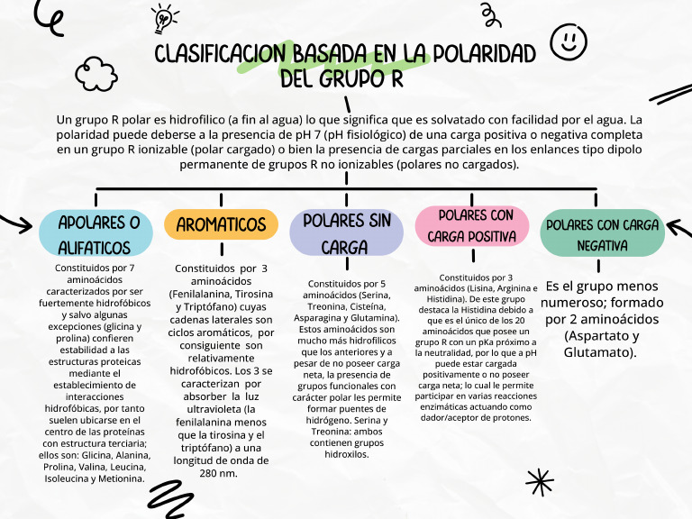 Mapa Conceptual De Aminoacidos Necton