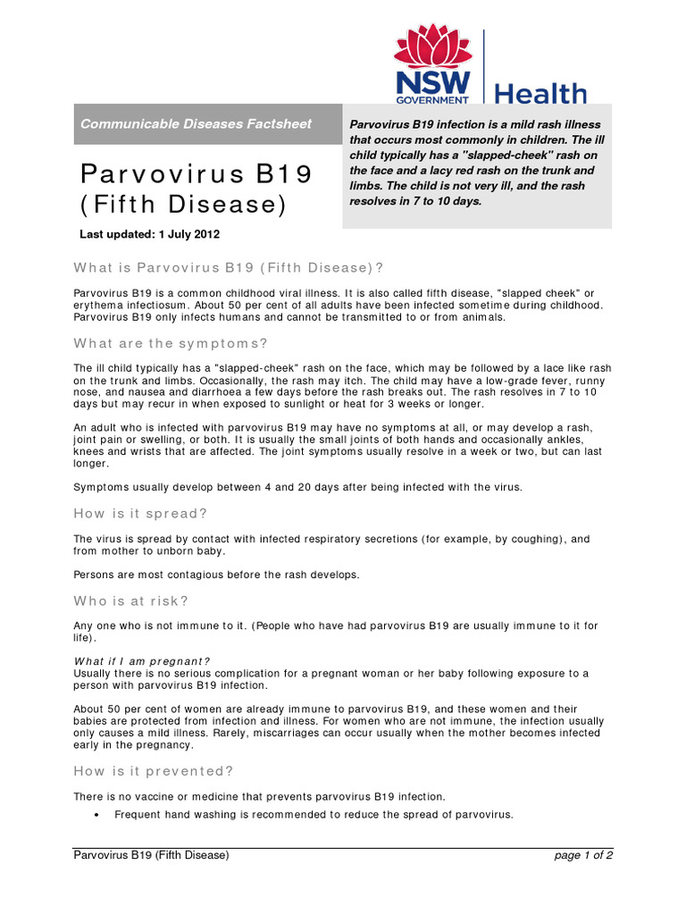 Parvovirus b19 | PDF | Microbiology | Viral Diseases