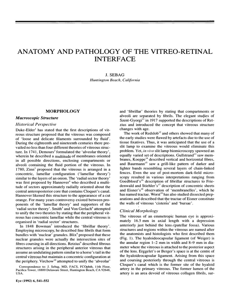 Anatomy Vitreo Retinal | PDF | Retina | Human Eye