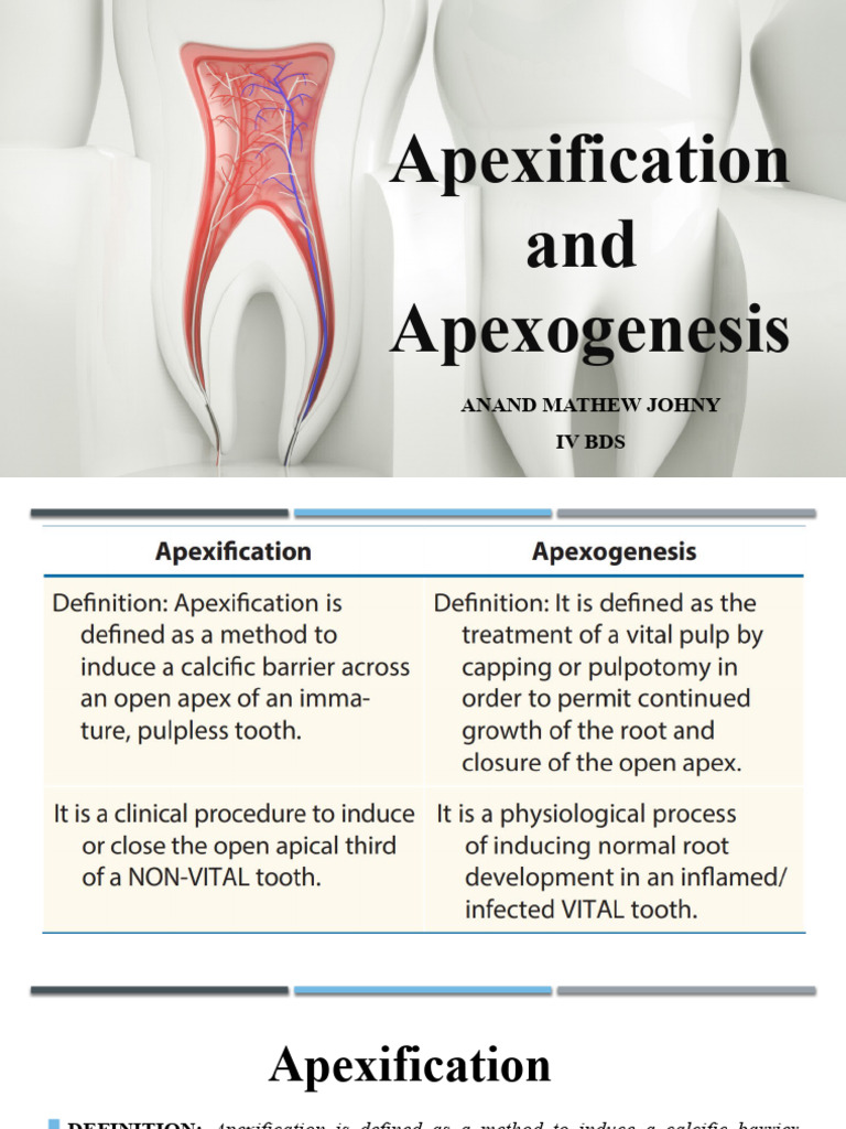 Apexification and Apexogenesis | PDF | Medical Specialties | Tooth