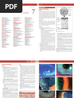 Fundus Diagram Drawing Guide | PDF | Retina | Human Eye