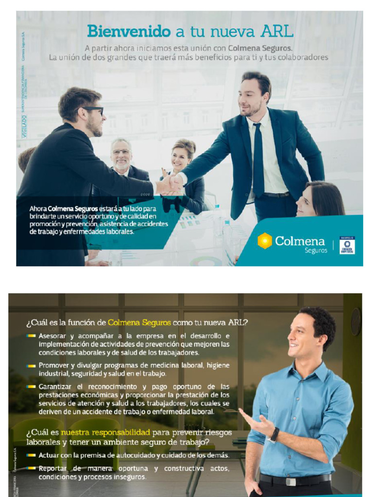 Anexo D. Arl Colmena | PDF