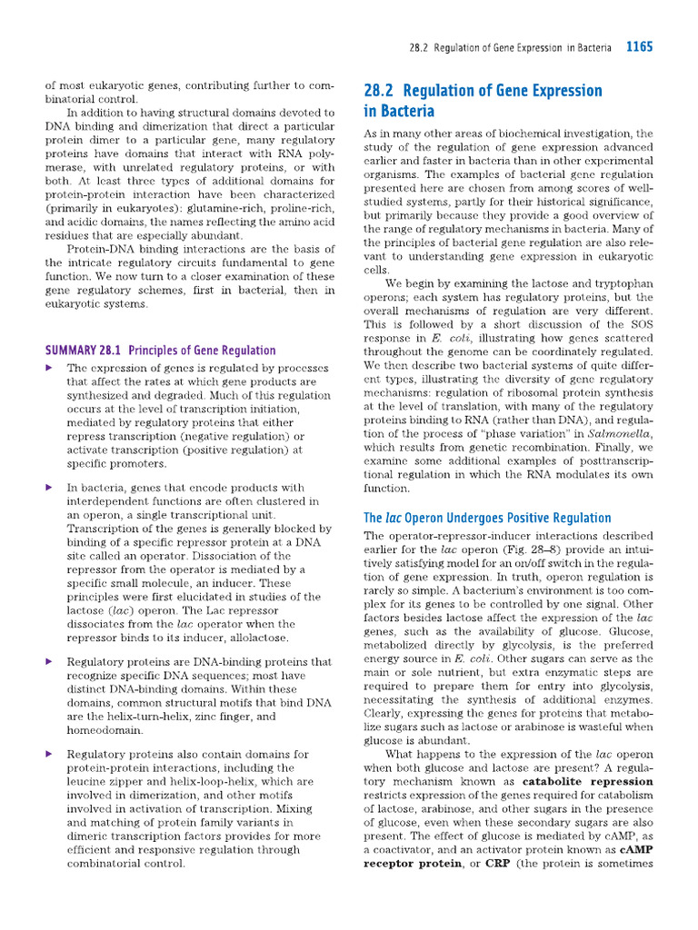 LAC-Trp Operon | PDF