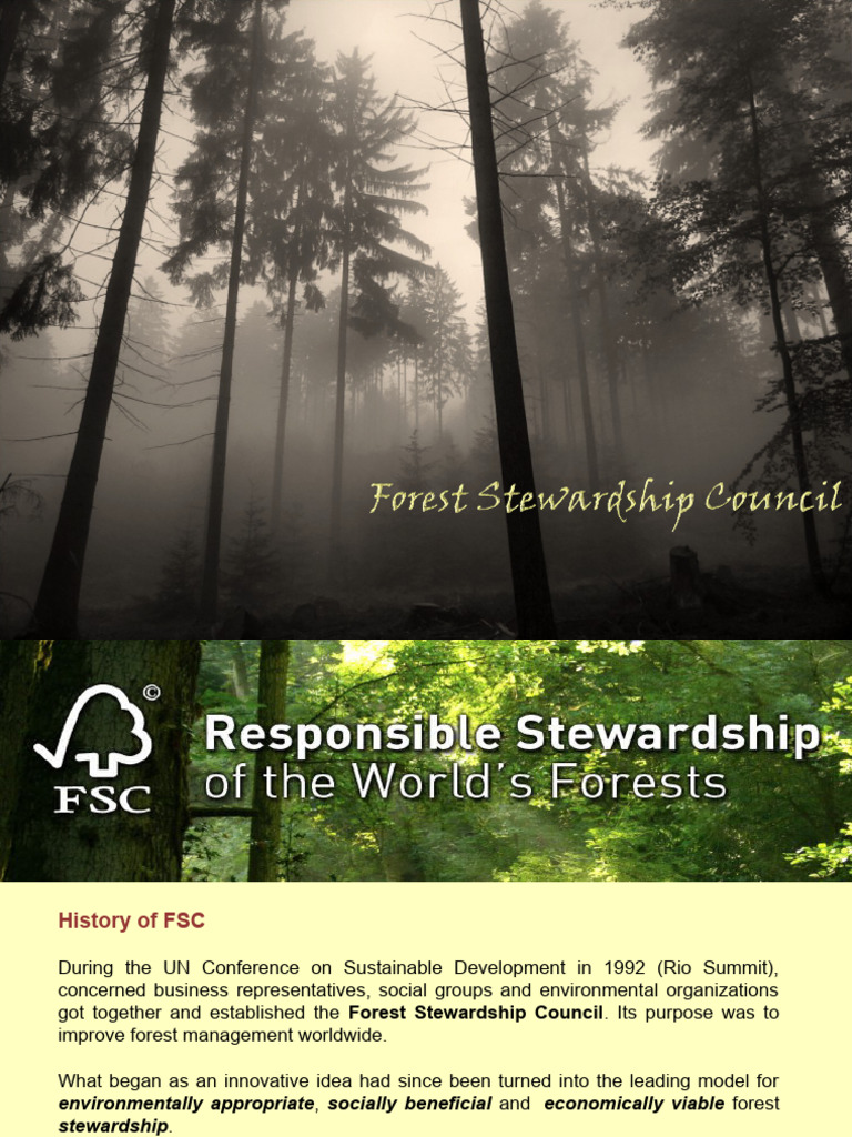 History and Impact of FSC | PDF | Forest Stewardship Council | Economy And The Environment