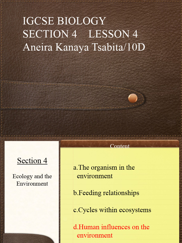 iGCSE Biology Section 4 Lesson 4.ppt - 20240523 - 115705 - 0000 | PDF | Carbon Dioxide ...