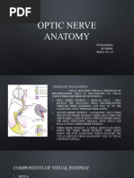 Visual Pathway | PDF | Visual System | Cerebral Cortex