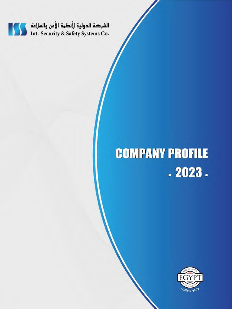 Company Profile 2023 | PDF