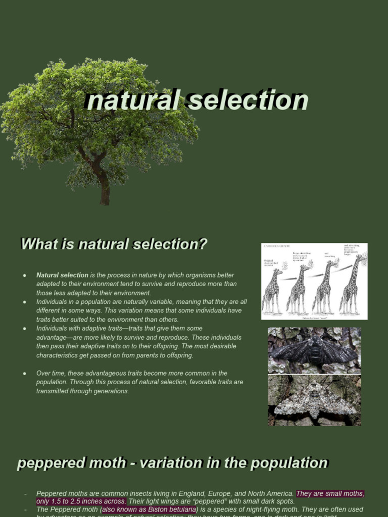 Natural Selection | PDF | Natural Selection | Reproduction