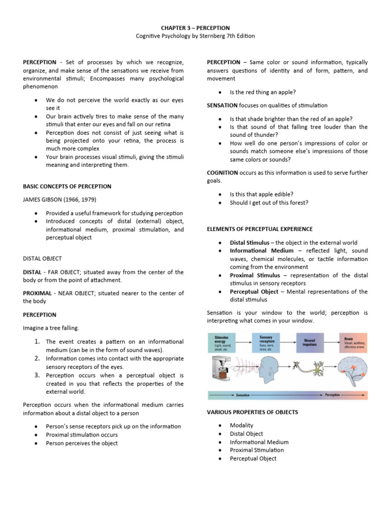 Cognitive Psychology Sternberg Chapter 3 Reviewer | PDF | Perception | Visual System