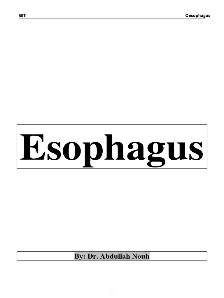 01 Oseph | PDF | Esophagus | Vein