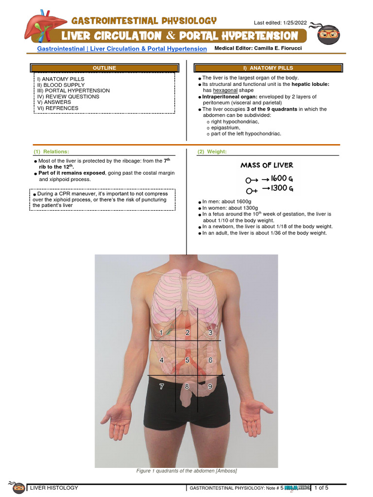 306 Gastrointestinal Physiology Liver Circulation Portal Hypertension