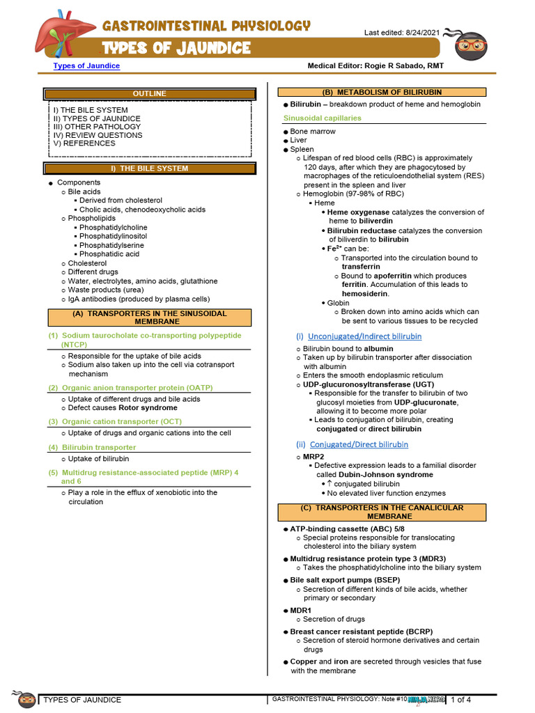 310 - Gastrointestinal Physiology) Types of Jaundice | PDF | Bile ...