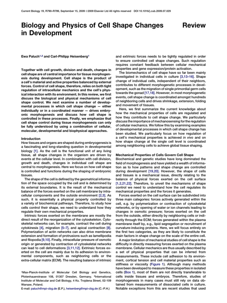 Biology and Physics of Cell Shape Changes | PDF | Morphogenesis ...