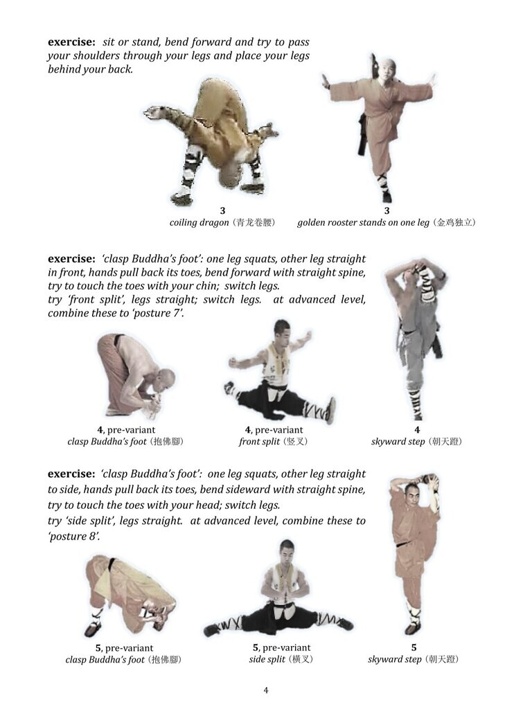 Shaolin Kung Fu Training Books Pdf - bestbfiles